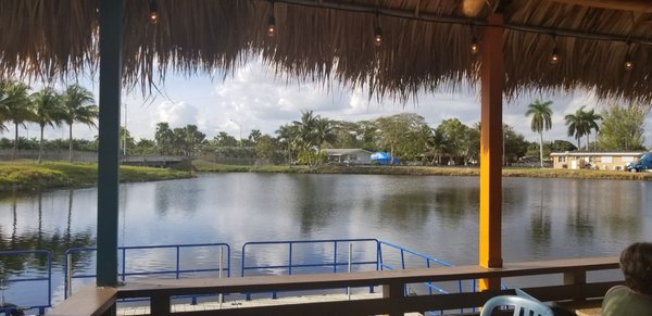 SONIA’S SEAFOOD RESTAURANT - 109 Photos & 80 Reviews - Seafood Markets ...