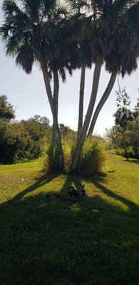 RED BUG SLOUGH - Updated October 2025 - 31 Photos - 5200 Beneva Rd ...