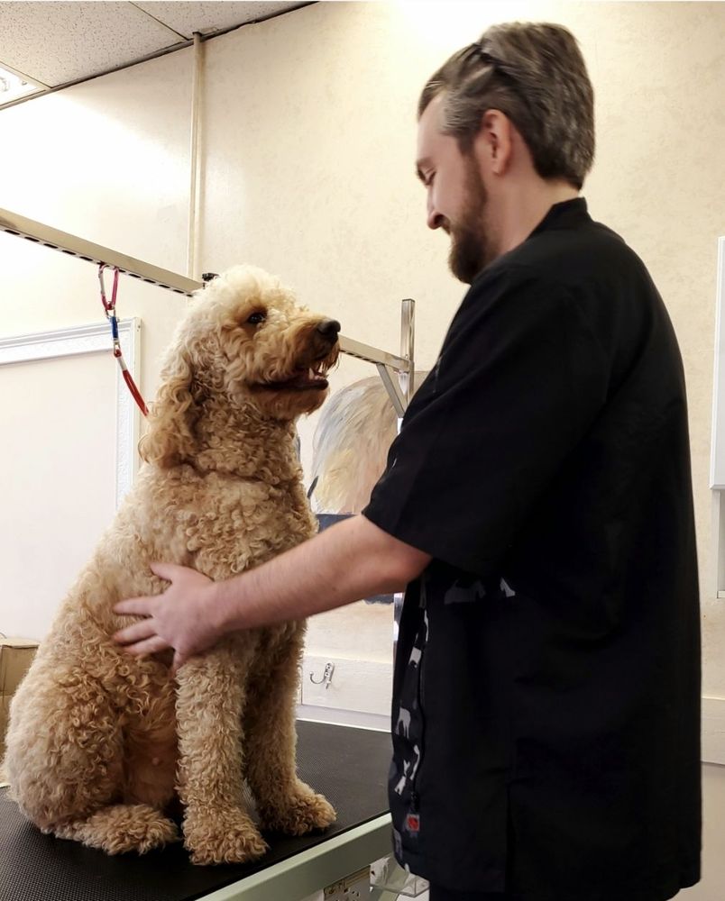 DAPPER DOGGERY - 25 Photos & 26 Reviews - 12855 Pomerado Rd, Poway, CA ...