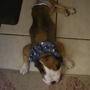 SWANN ANIMAL CLINIC AT HILLSIDE - Updated October 2025 - 6204 Hillside ...