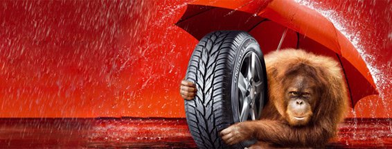 CARDINAL PLAZA SHELL - Updated December 2025 - 51 Photos & 116 Reviews ...