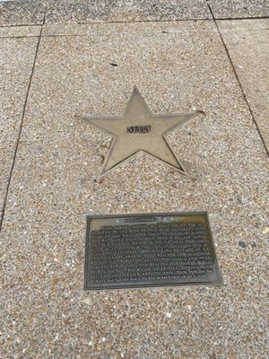 ST LOUIS WALK OF FAME - Updated October 2025 - 25 Photos - 6504 Delmar Blvd, Saint Louis ...