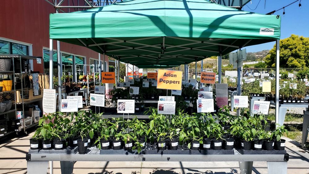 CAL POLY POMONA FARM STORE - Updated May 2024 - 765 Photos & 199 ...