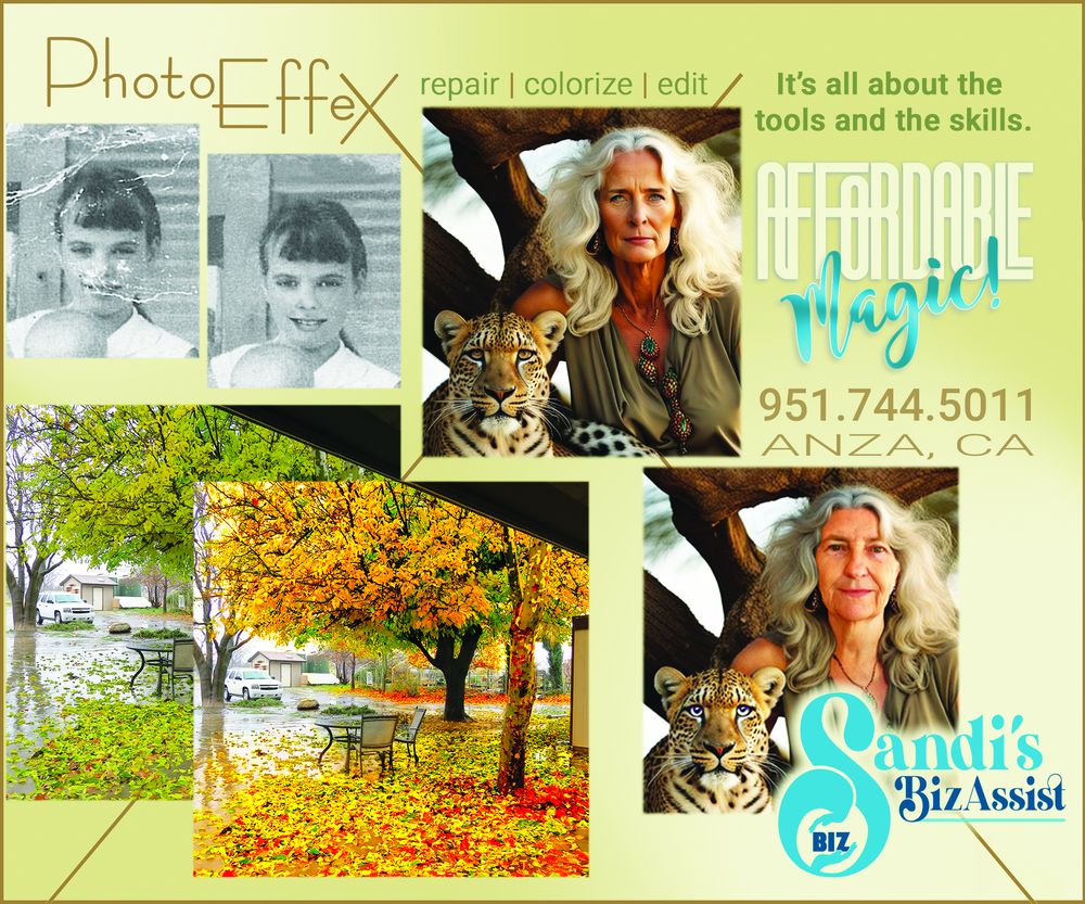 SANDI’S BIZASSIST - Updated July 2025 - Request Consultation - 56480 CA ...