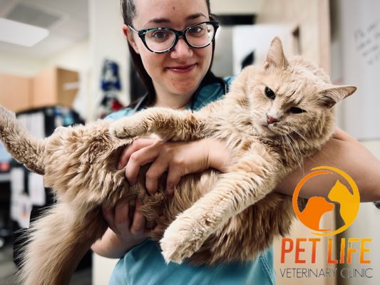 Pet Life Vet Clinic - Trusted Since 2022 - Updated July 2025 - 12 ...
