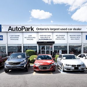 NAWAB MOTORS - Updated January 2026 - 31 Photos - 22 Bramsteele Rd ...