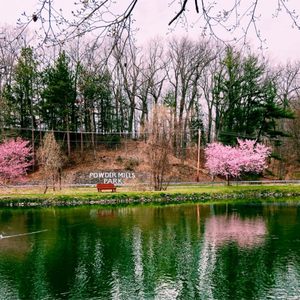POWDER MILLS PARK - 101 Photos & 17 Reviews - Parks - 154 Park Rd ...