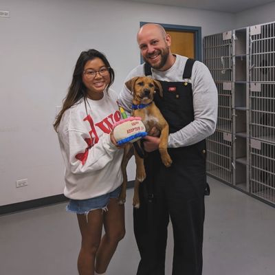 WRIGHT WAY RESCUE - Updated December 2025 - 80 Photos & 222 Reviews ...