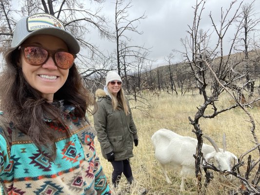 ANGELES CREST CREAMERY - Updated December 2025 - 54 Photos & 14 Reviews ...