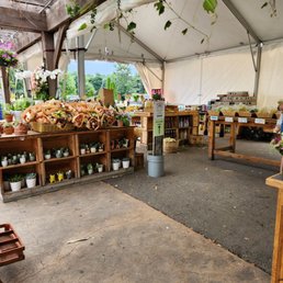 WARD’S BERRY FARM - Updated July 2025 - 221 Photos & 159 Reviews - 614 ...