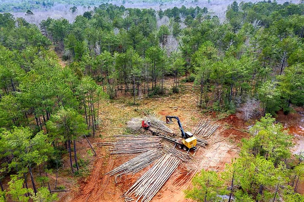 STURROCK LOGGING - Updated November 2024 - 17609 US Hwy 69 S, Alto ...