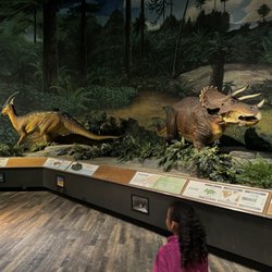 Best Kids Museums Near Me - June 2025: Find Nearby Kids Museums Reviews ...