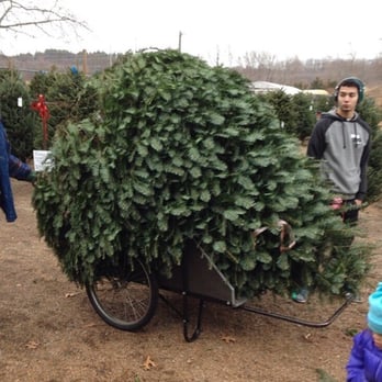 PAUL BUNYAN’S FARM & NURSERY - Updated January 2025 - 11 Photos - 500 ...