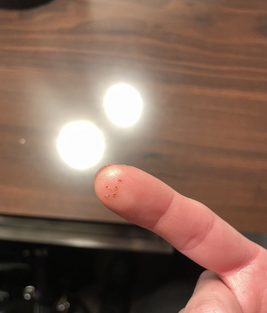 RESIDENCE INN SAN DIEGO CARLSBAD - Updated January 2026 - 153 Photos ...