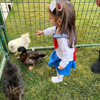 BARBER FAMILY FARM - Updated May 2024 - 280 Photos & 31 Reviews - 354 B ...