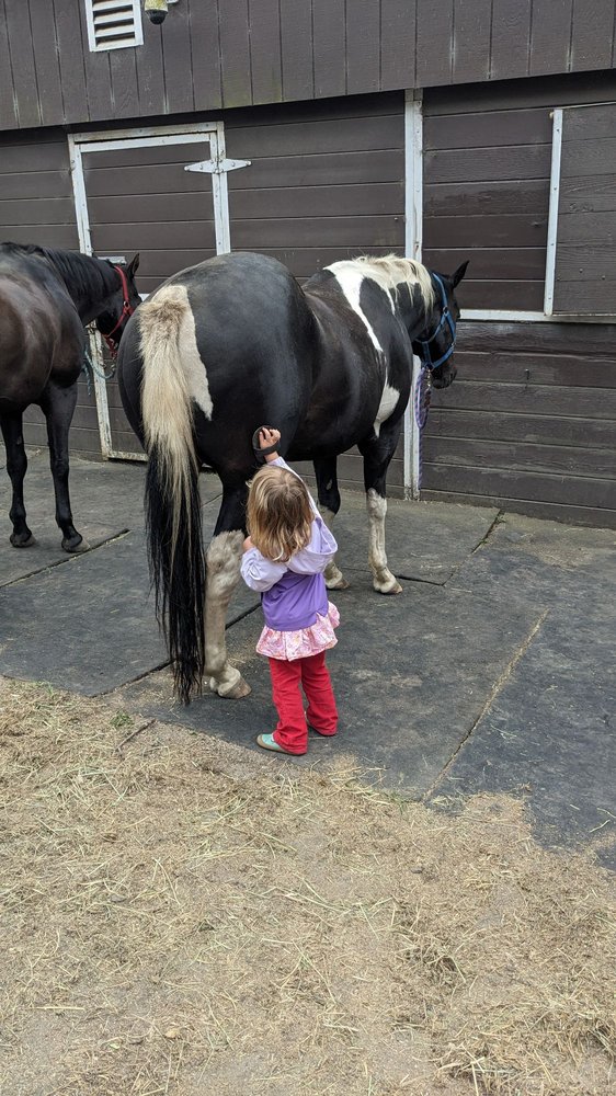 DOUBLE J RANCH - Updated September 2025 - 24 Photos & 10 Reviews - 1208 ...