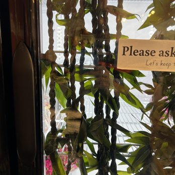 NATIVE INTELLIGENCE - Updated October 2025 - 48 Photos & 27 Reviews ...