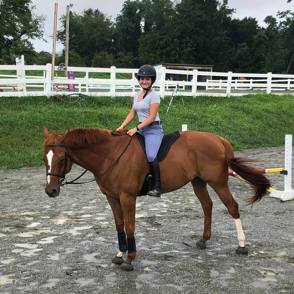 GREAT SCOTT FARM - Updated November 2025 - 1375 Yellow Springs Rd ...