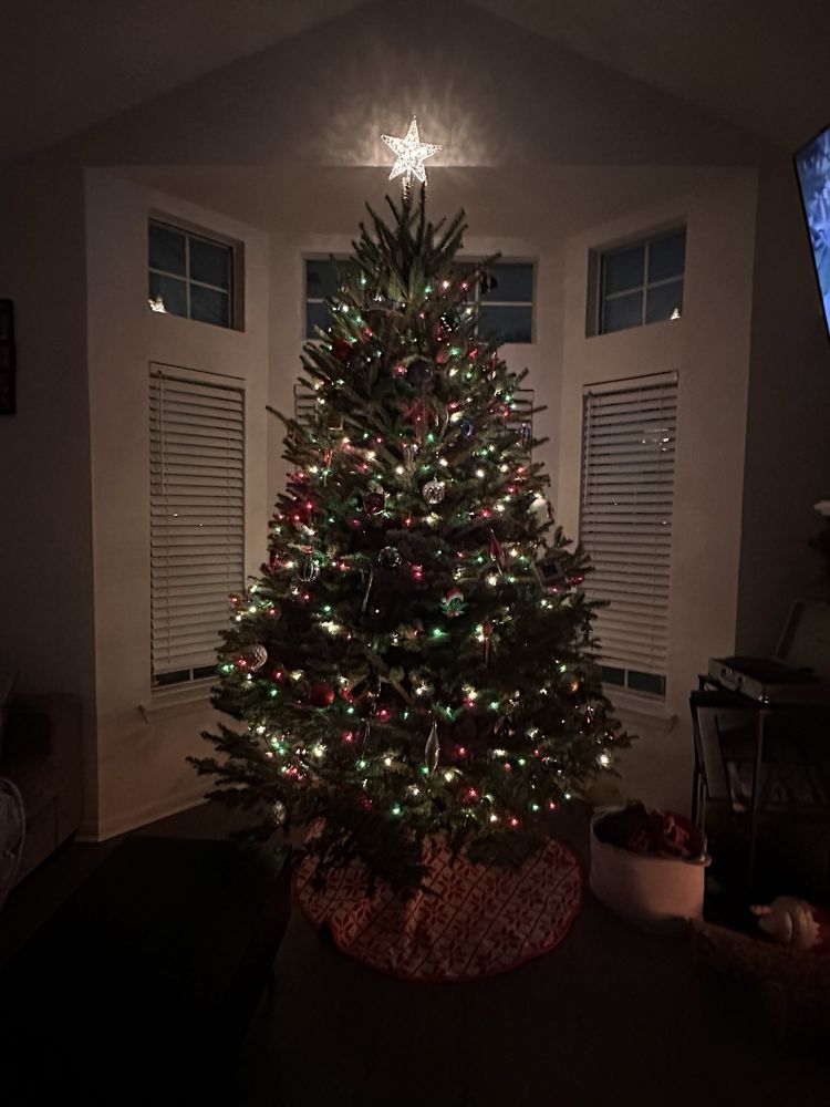 MIKE’S TREE FARM - Updated December 2025 - 16 Photos & 23 Reviews ...