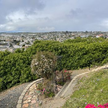 ALL ACCESS TREE CARE - Updated August 2024 - 175 Photos & 270 Reviews ...