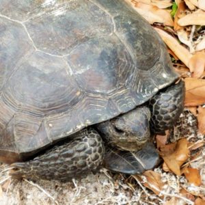 FROGBONES FAMILY SHOOTING CENTER - 44 Photos & 51 Reviews - Gun/Rifle ...