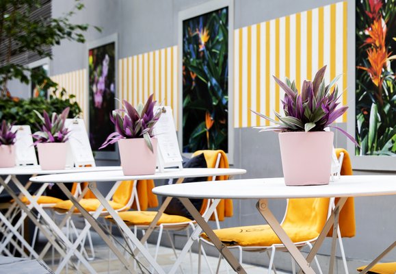 THE DEN AT ST MARTINS LANE - Updated January 2026 - 31 Photos - 45 St ...