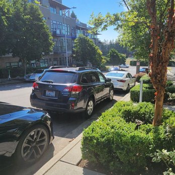 DARUMA SANDO - Updated October 2025 - 84 Photos & 31 Reviews - 1651 N ...