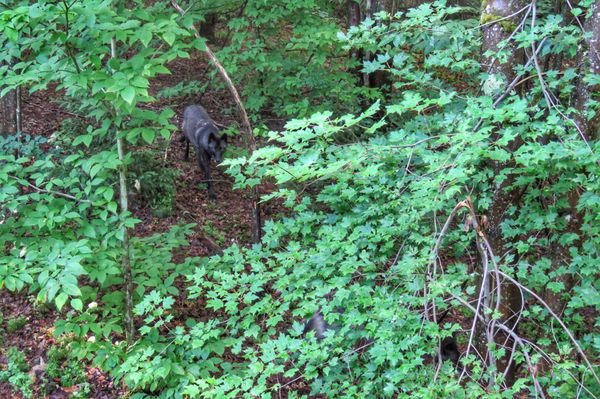 WOLF MOUNTAIN NATURE CENTER - 27 Photos - 562 Hopkins Crandall Rd ...