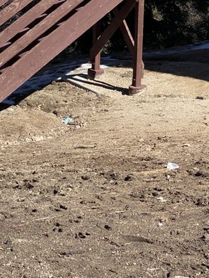 PALI INSTITUTE - 149 Photos & 91 Reviews - Specialty Schools - 30778 CA ...