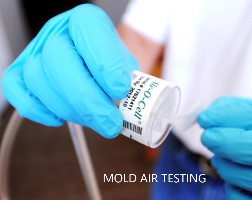 ABM ENVIRONMENTAL - Updated December 2025 - 16 Photos - 557 – 1231 ...