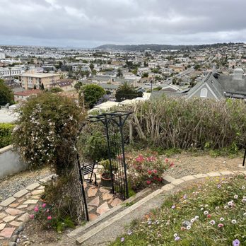 ALL ACCESS TREE CARE - Updated August 2024 - 175 Photos & 270 Reviews ...