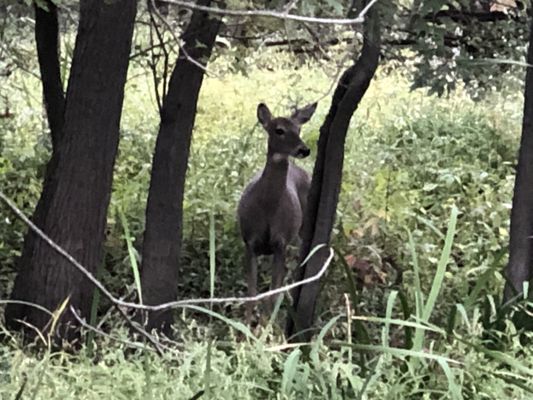 CHICK EVANS GOLF COURSE - Updated October 2025 - 10 Photos & 44 Reviews ...