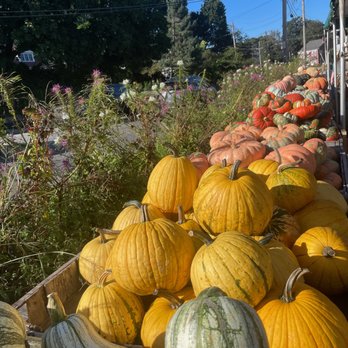 WILSON FARM - Updated October 2024 - 449 Photos & 393 Reviews - 10 ...