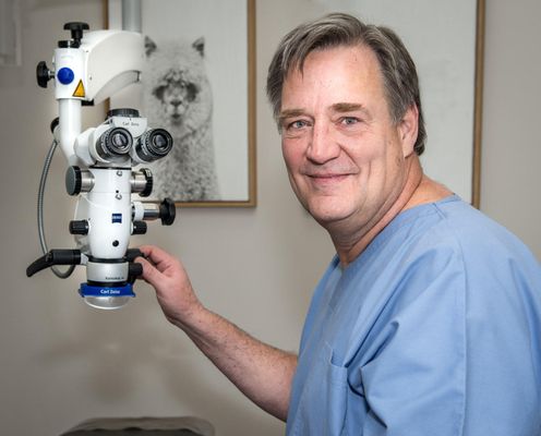 PROFESSIONAL ENDODONTICS OF ILLINOIS - 10 Reviews - 1660 Feehanville Dr ...