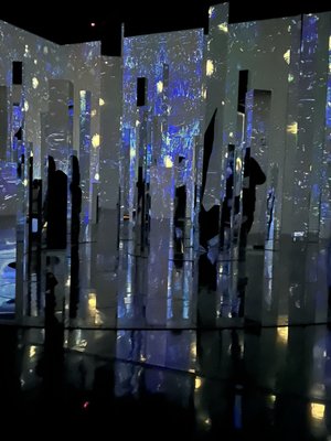IMMERSIVE VAN GOGH EXHIBIT DENVER - Updated May 2026 - 242 Photos & 74 ...