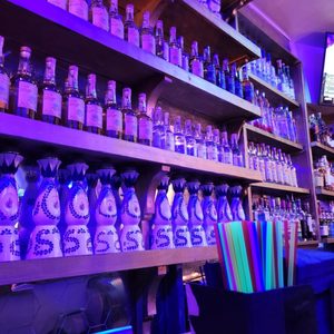 OCTOPUS KITCHEN - 266 Photos & 162 Reviews - 1551 Piedmont Ave NE ...