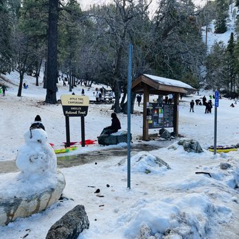 APPLE TREE CAMPGROUND - Updated April 2025 - 22 Photos - Wrightwood ...