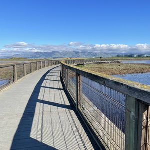 BAYLANDS PARK TRAIL - 367 Photos & 111 Reviews - Parks - 999 E ...