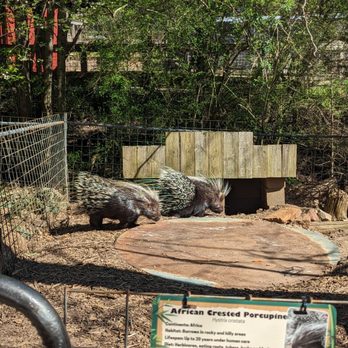 NORTH GEORGIA WILDLIFE PARK - Updated November 2025 - 169 Photos & 81 ...