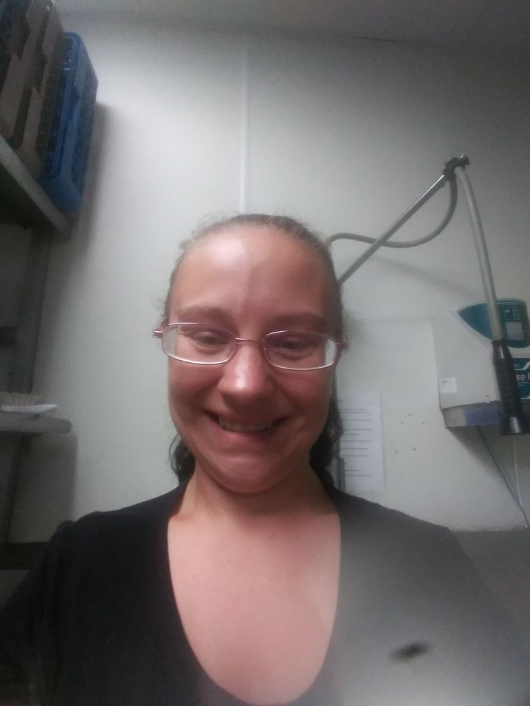 SVS VISION OPTICAL CENTERS - Updated September 2024 - 2720 Elida Rd ...