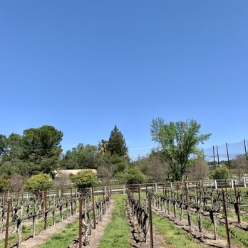 SECRET RAVINE WINERY - Updated January 2026 - 56 Photos & 63 Reviews ...