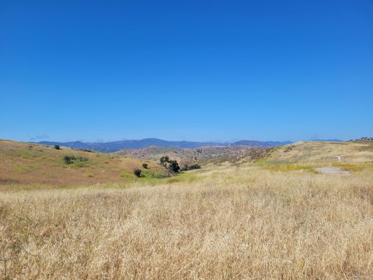 LASKY MESA IN UPPER LAS VIRGENES CANYON OPEN SPACE - Updated September ...