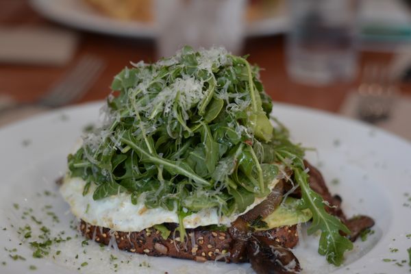 CAFE VIDA - 434 Photos & 731 Reviews - Breakfast & Brunch - 15317 ...