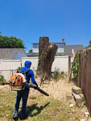 WEST TREE SERVICES - Updated August 2025 - 35 Photos - Severn, Maryland ...