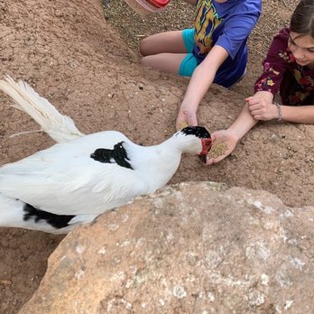 RIPARIAN PRESERVE AT WATER RANCH - Updated August 2024 - 710 Photos ...