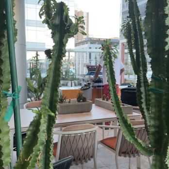 EDEN ROOFTOP BAR - Updated December 2025 - 183 Photos & 111 Reviews - 2 ...