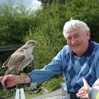 THE IRISH RAPTOR RESEARCH CENTRE - Updated April 2025 - Ballymote ...