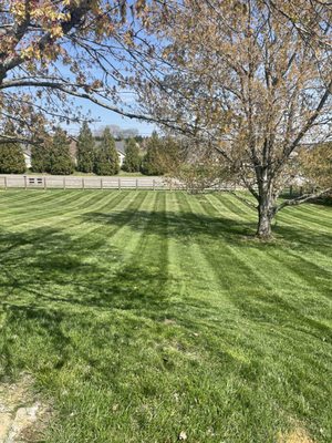 TN LANDSCAPING - Updated April 2025 - Knoxville, Tennessee - Lawn ...