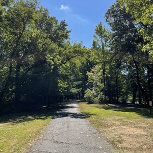 NRG ADVENTURE PARK - Updated October 2025 - 350 US-22, Springfield, New ...