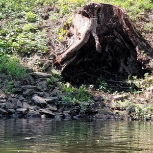 RIVERSIDE RENTALS - 60 Photos & 28 Reviews - 589 E Old St Rd 14 ...